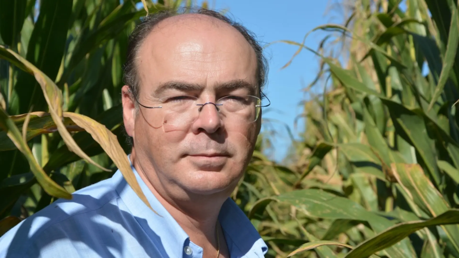 José Luis Romeo: “La biotecnología abre al sector del maíz a opciones ...