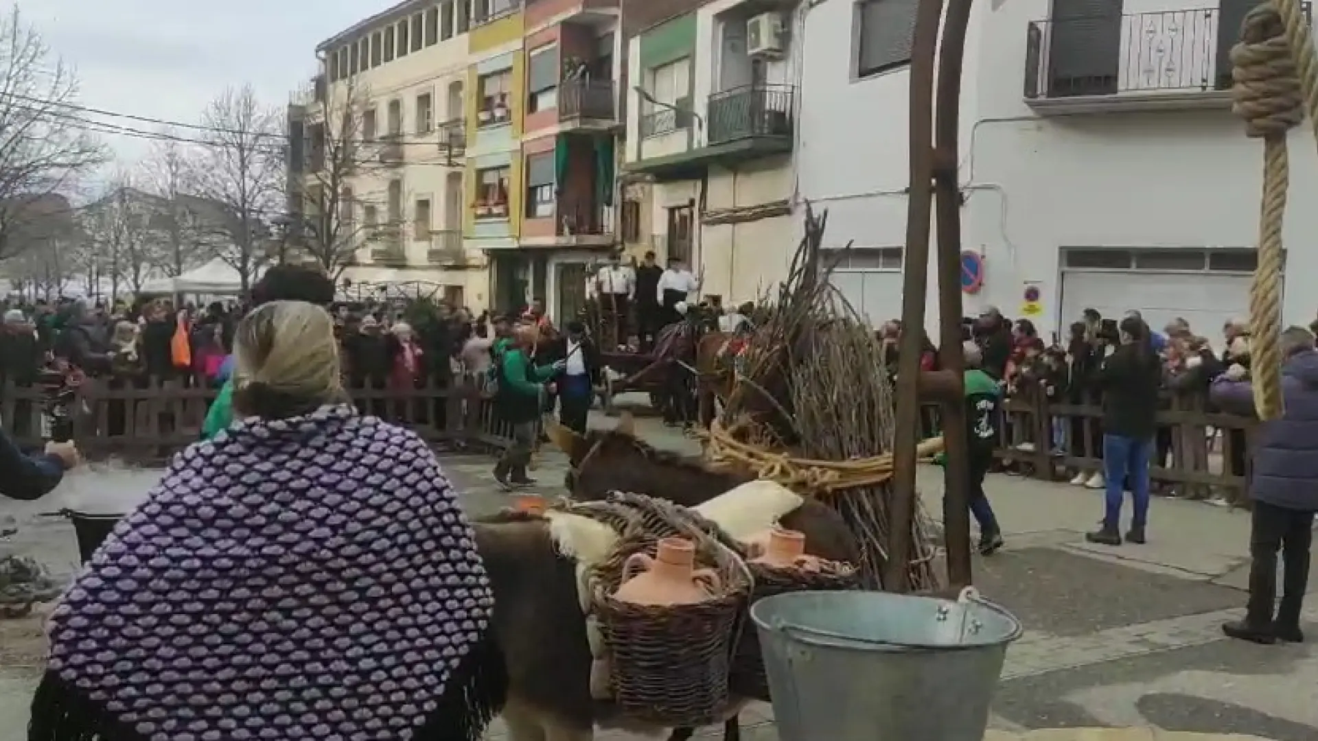 Galería de vídeos de la Festa del Tossino de Albelda 2025