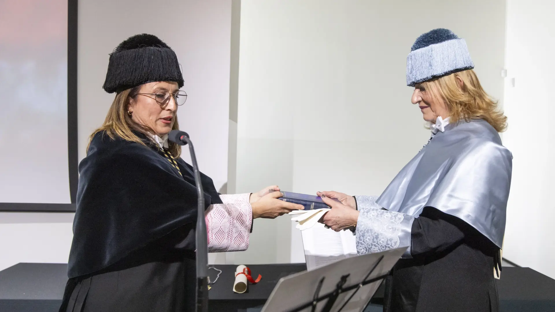 Encarna Samitier, investida doctora Honoris Causa por la Universidad ...