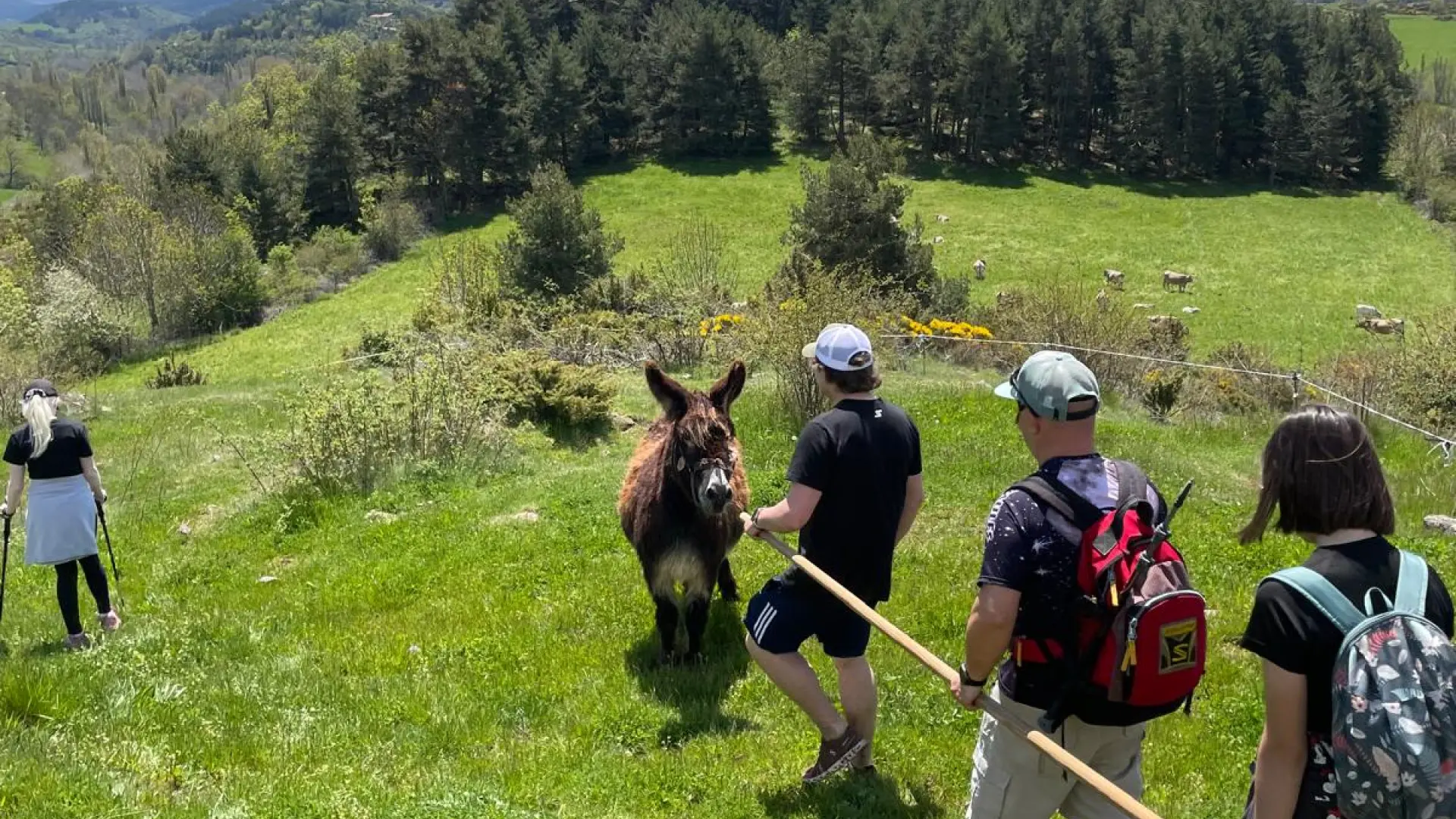 Aforo completo, emociones a flor de piel y una nueva forma de sentir la ...
