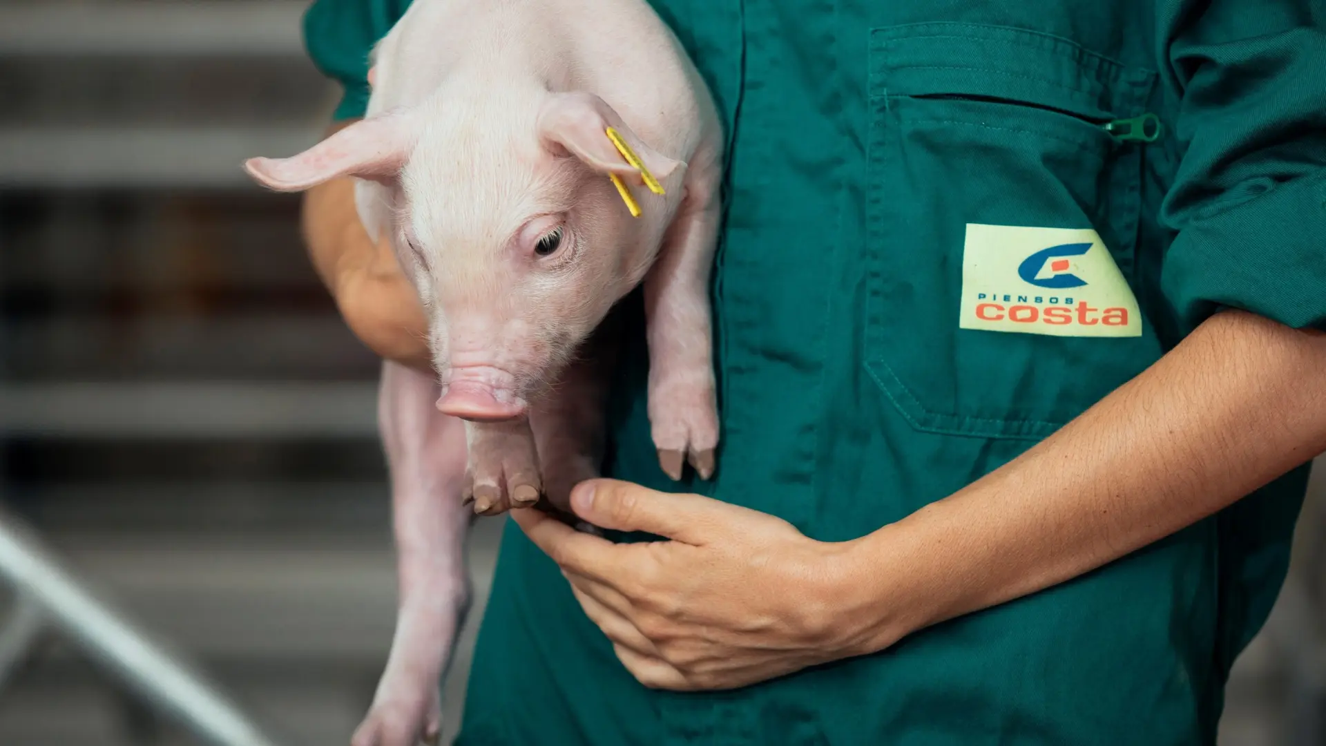Costa Food Group: innovación continua en el agroalimentario desde el ...