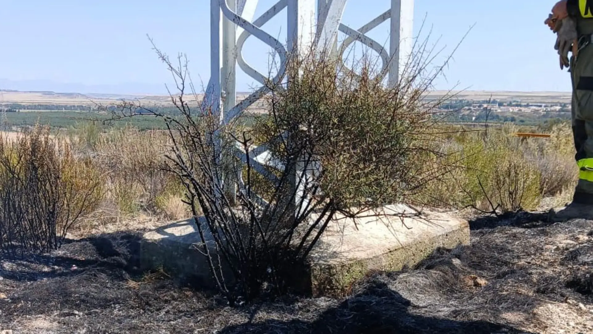 Un águila real choca contra un cable de alta tensión y provoca un incendio en Gurrea de Gállego