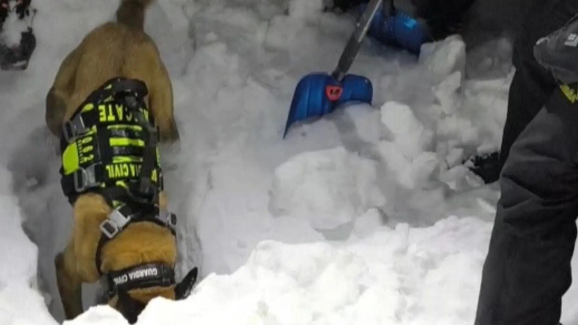 Hallado muerto un montañero de Zaragoza atrapado por un nuevo alud en ...