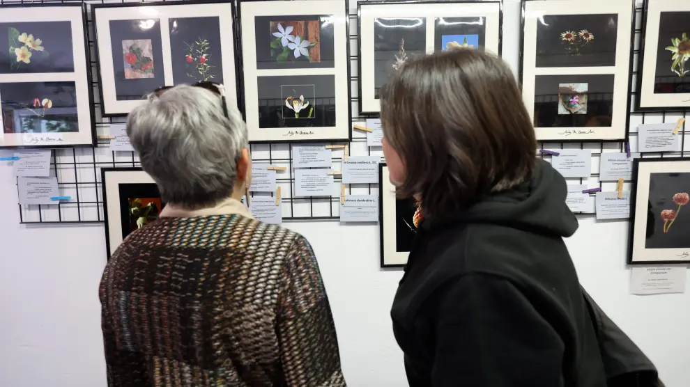 Flores silvestres llenan el Espacio Rosa Luxemburgo