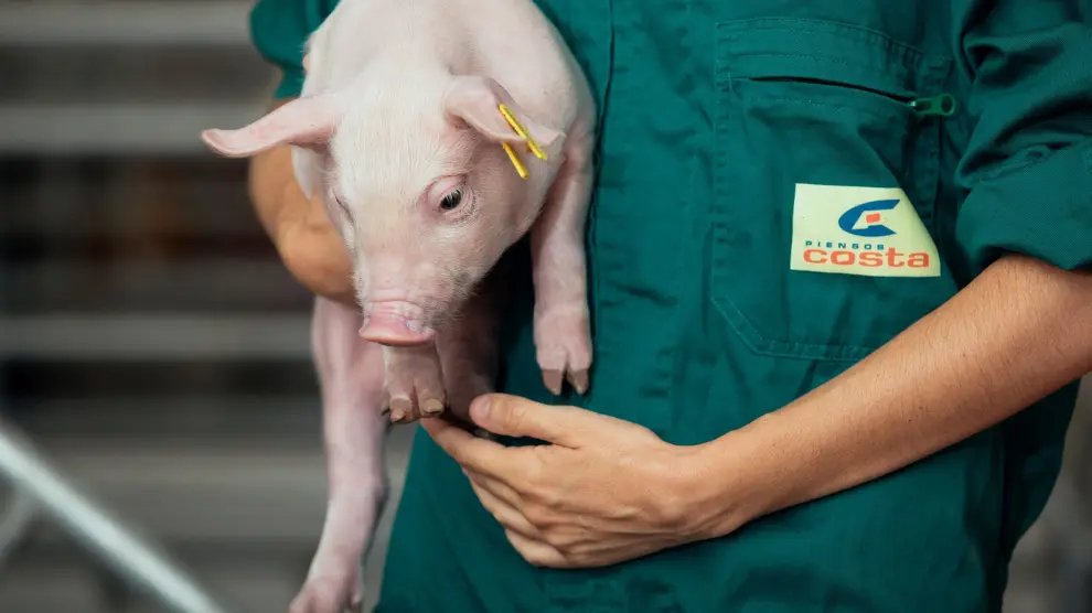 Costa Food Group: innovación continua en el agroalimentario desde el ...