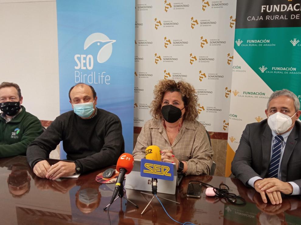 La comarca participará del proyecto 'Olivares Vivos' desarrollado en Jaén