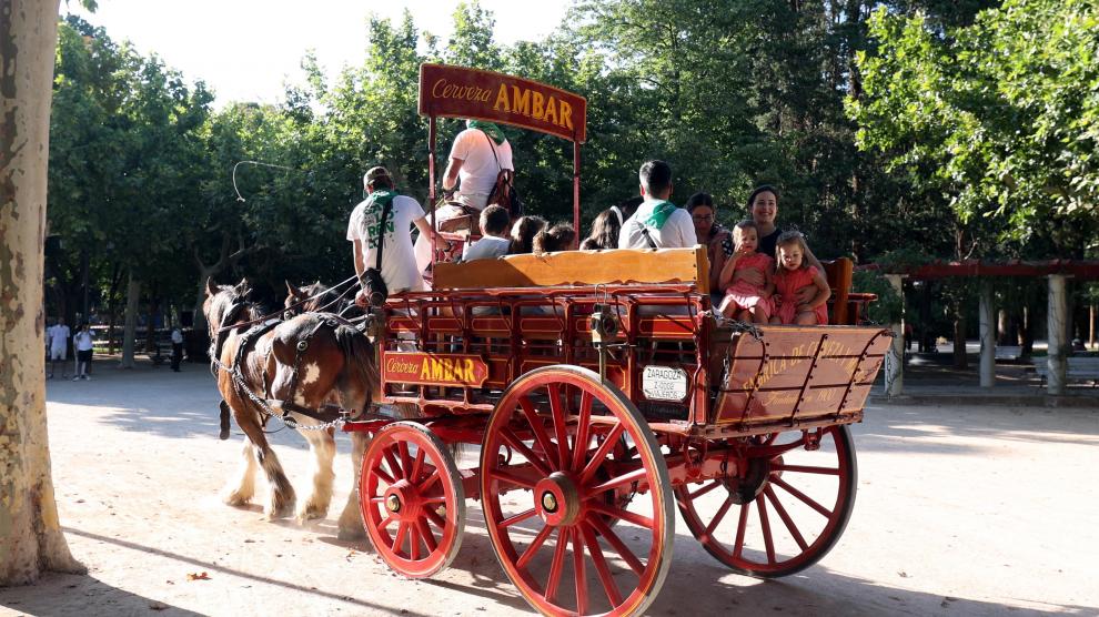 La narria, un gran atractivo en el parque Miguel Servet
