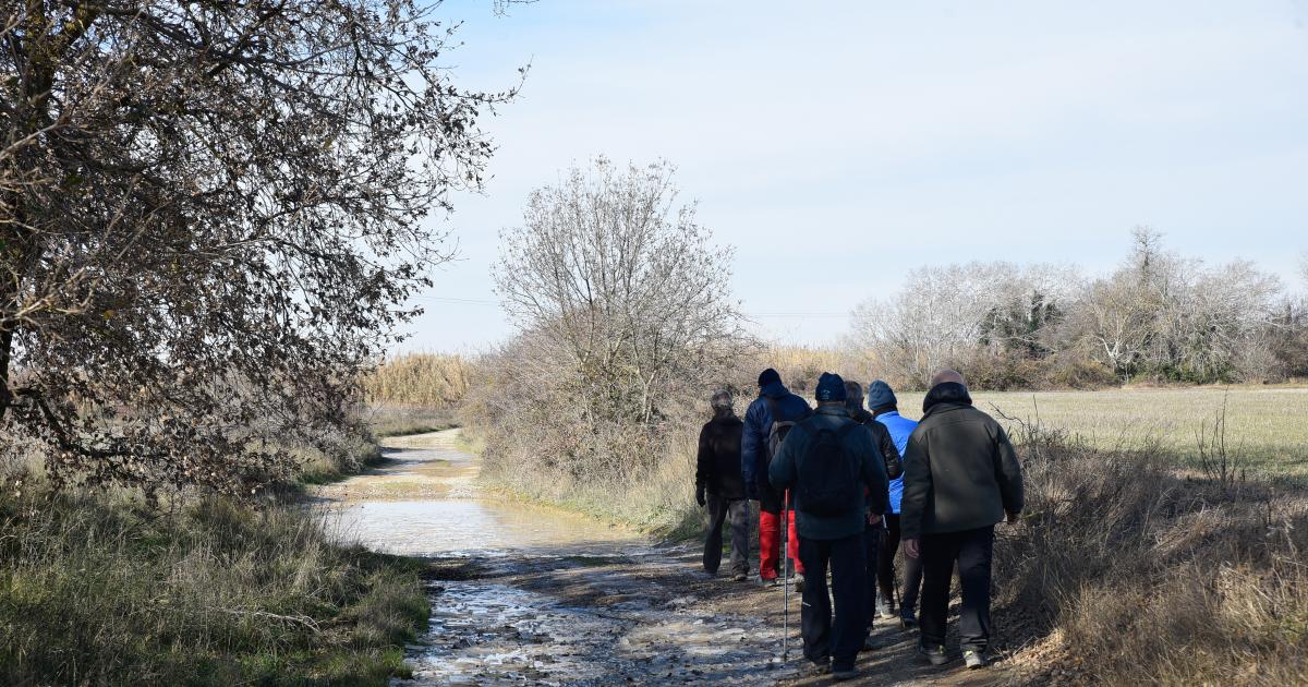 Comienzan las obras del Camino de la Almunia y del Loreto