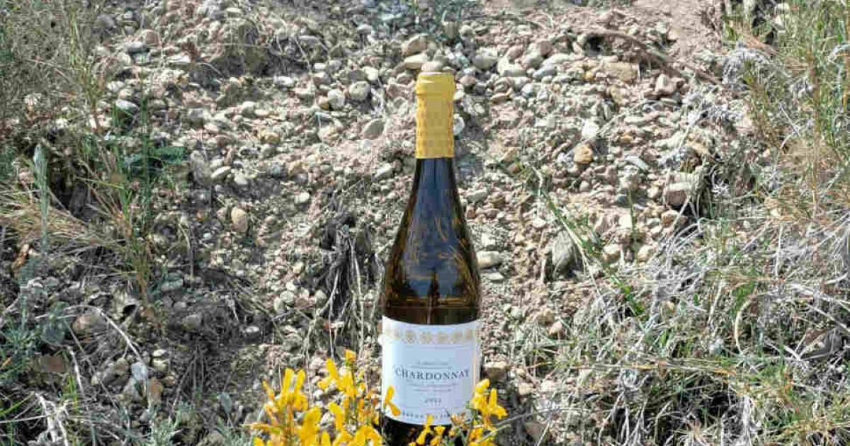 Pirineos Chardonnay, un vino ideal para celebrar el día de Aragón
