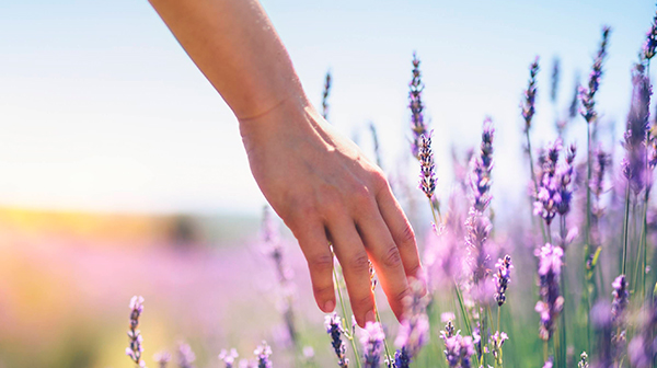 Don Juan Jiménez García