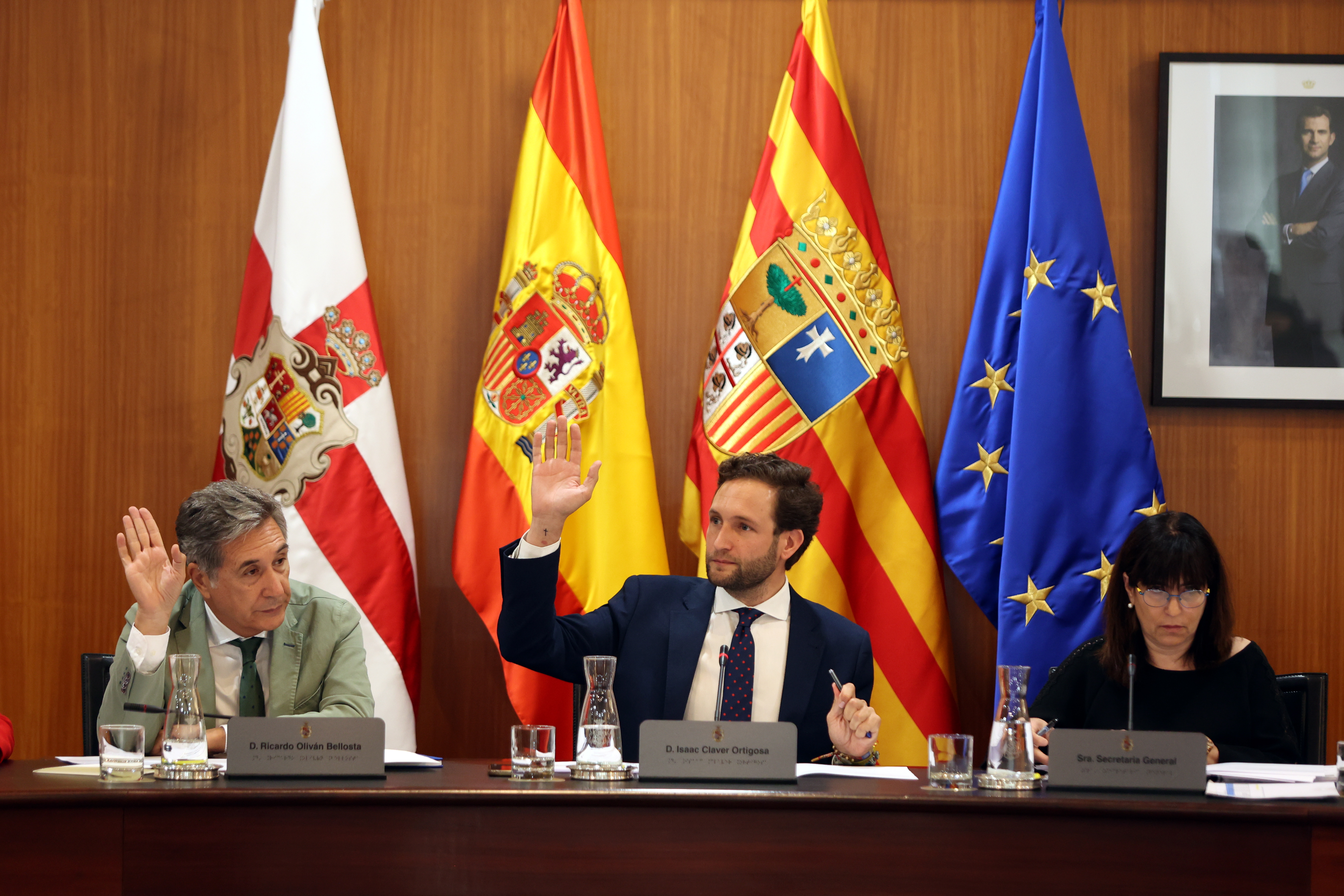 La DPH aprueba su nueva estructura buscando más agilidad y eficiencia