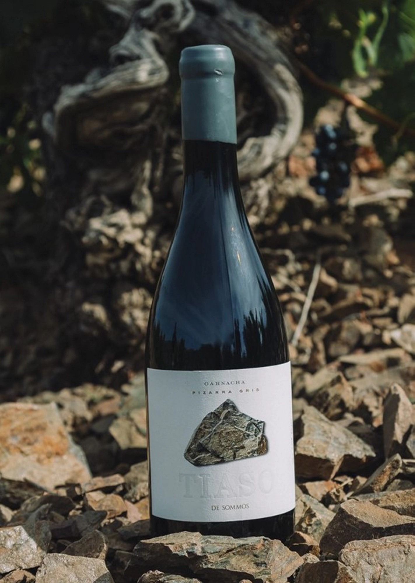 Tres vinos de Bodega Sommos, referentes en la revista Decanter