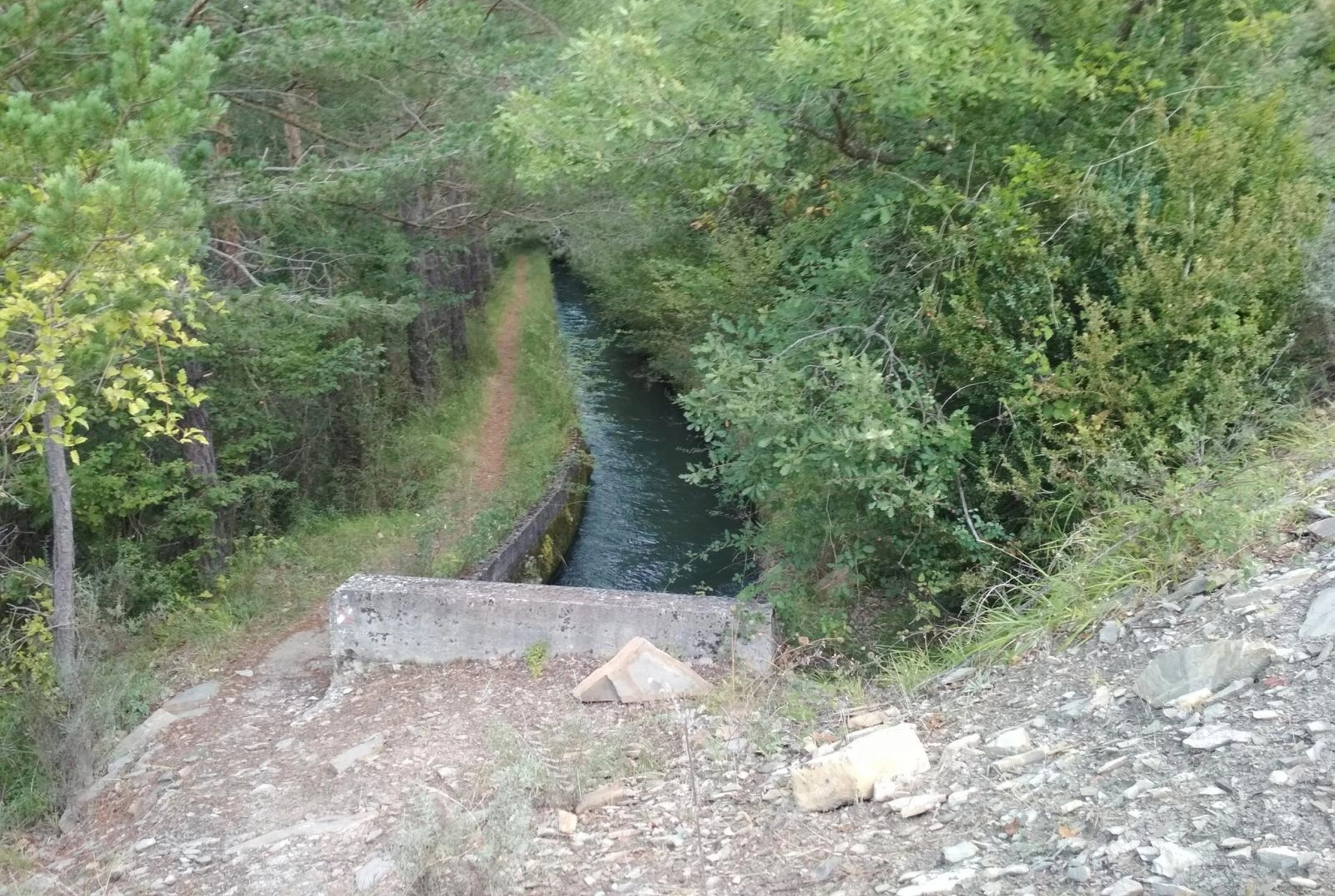 Aleida garza hot i reached out to the provider Kim for a