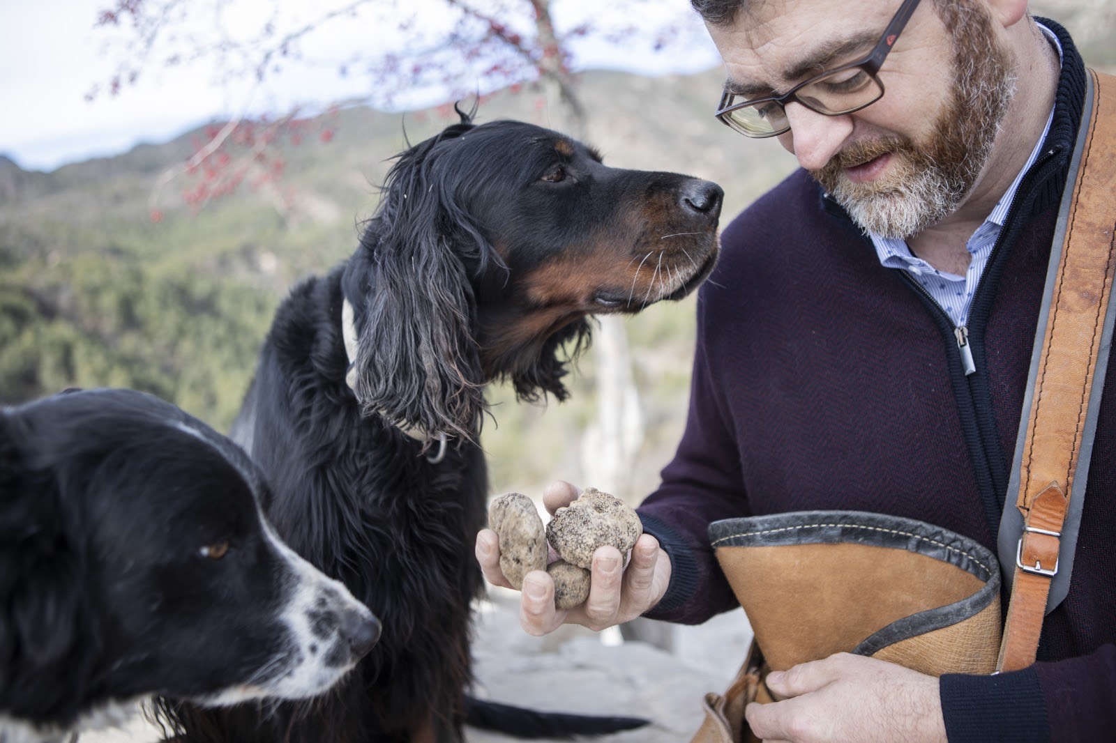 David Royo: "Hemos promocionado la trufa negra"
