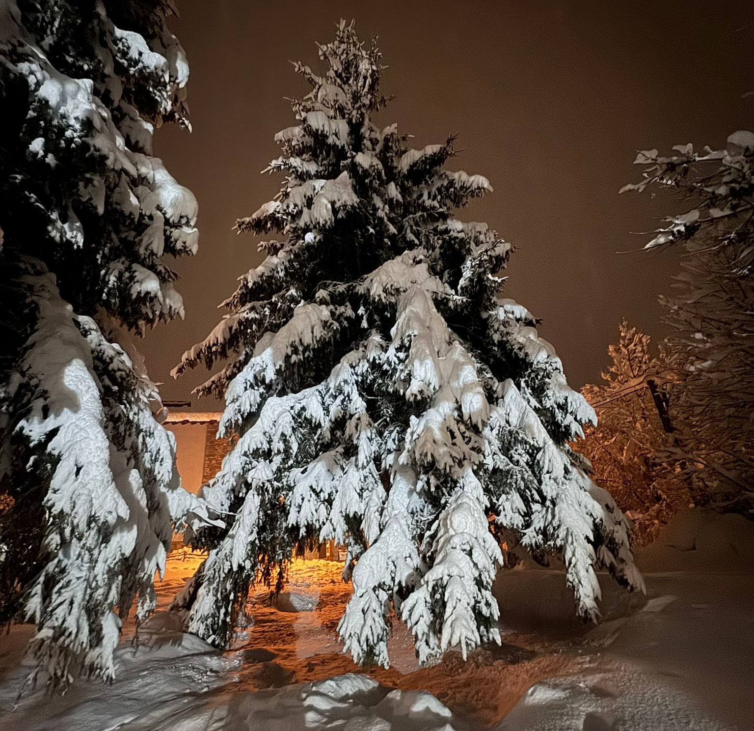 La nieve sigue cayendo en la provincia de Huesca para finalizar la ...